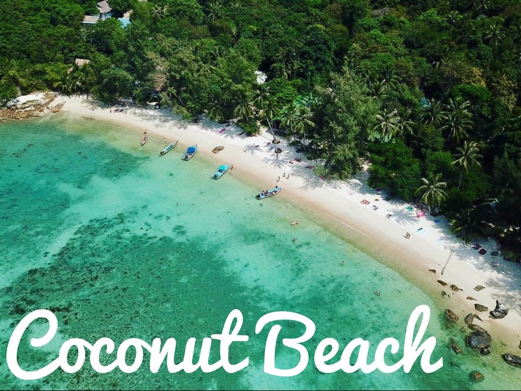 coconut beach