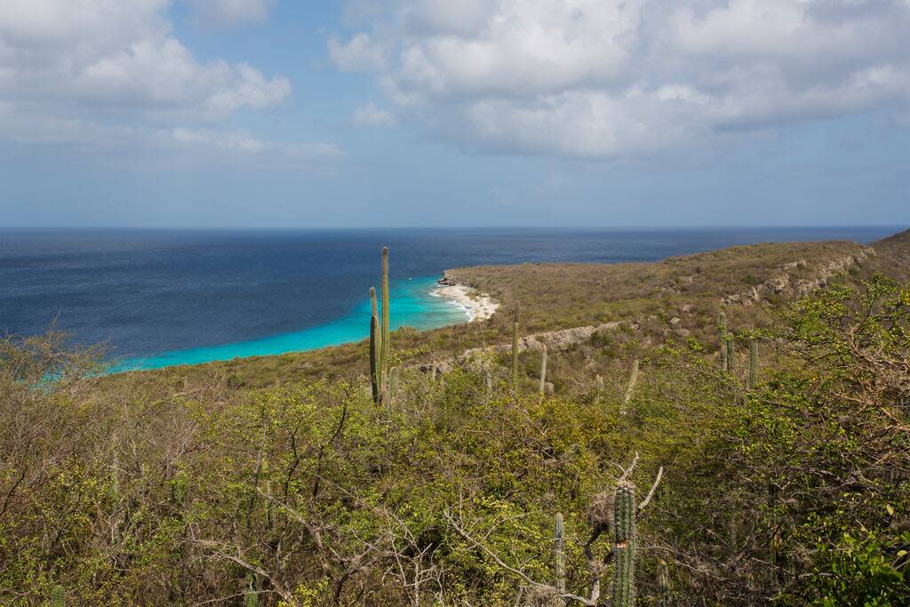 NOOM Curacao | www.noomcuracao.com